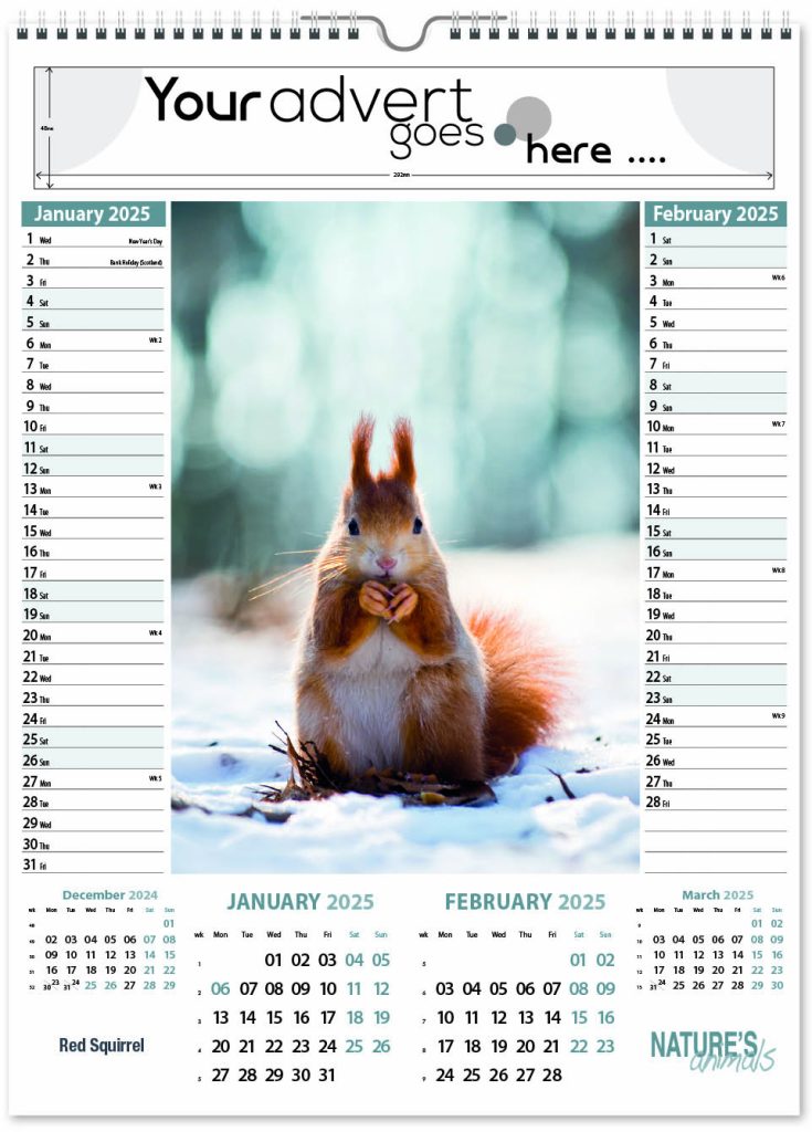 Nature's Animals Memo Wall Calendar 2025 - Think Promote