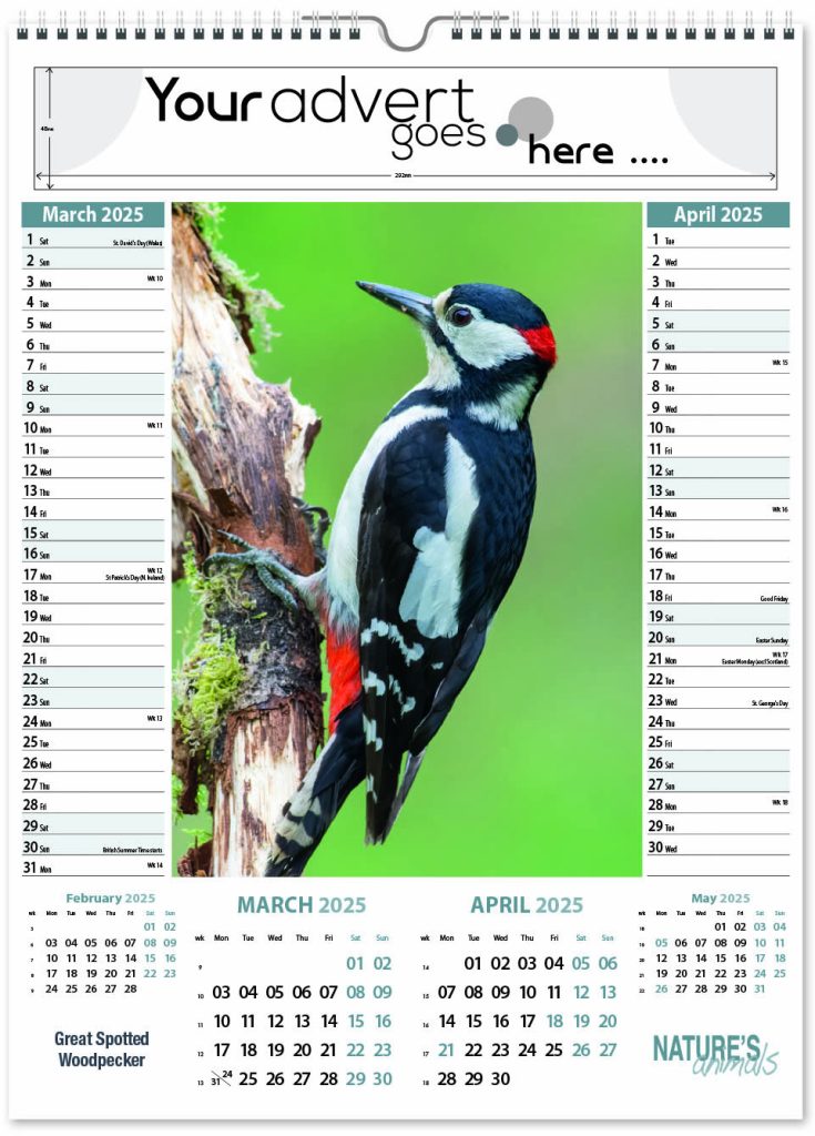 Nature's Animals Memo Wall Calendar 2025 - Think Promote