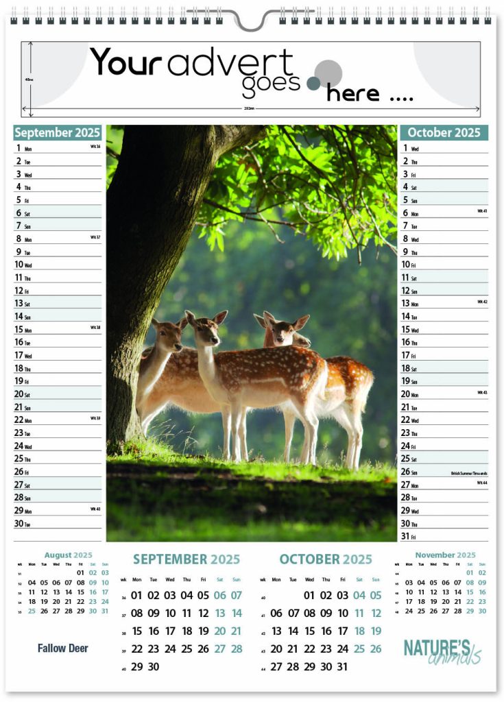 Nature's Animals Memo Wall Calendar 2025 - Think Promote
