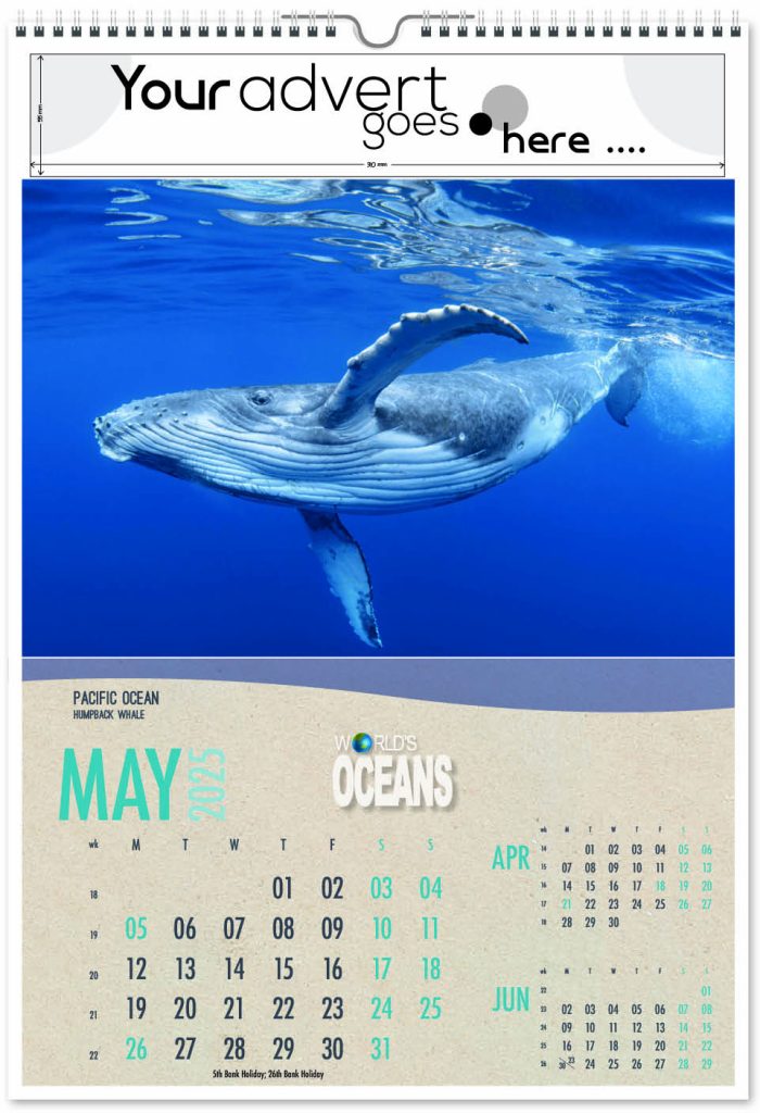 World's Oceans Wall Calendar 2025 - Think Promote