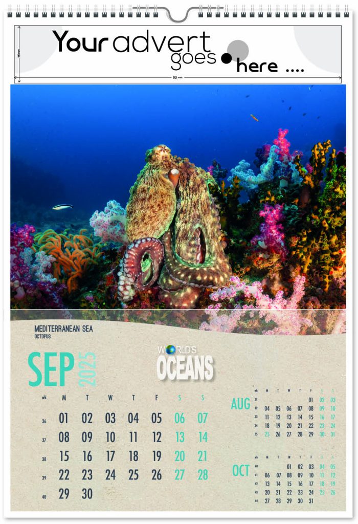 World's Oceans Wall Calendar 2025 - Think Promote