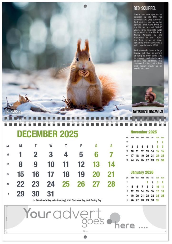 Nature's Animals Deluxe Central Wiro Wall Calendar 2025 - Think Promote
