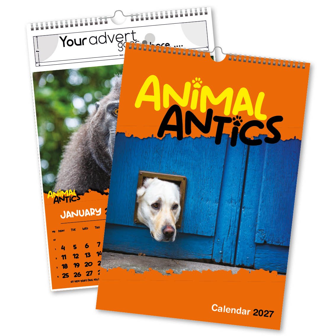 Animals Antics Wall Calendar 2026 - Think Promote