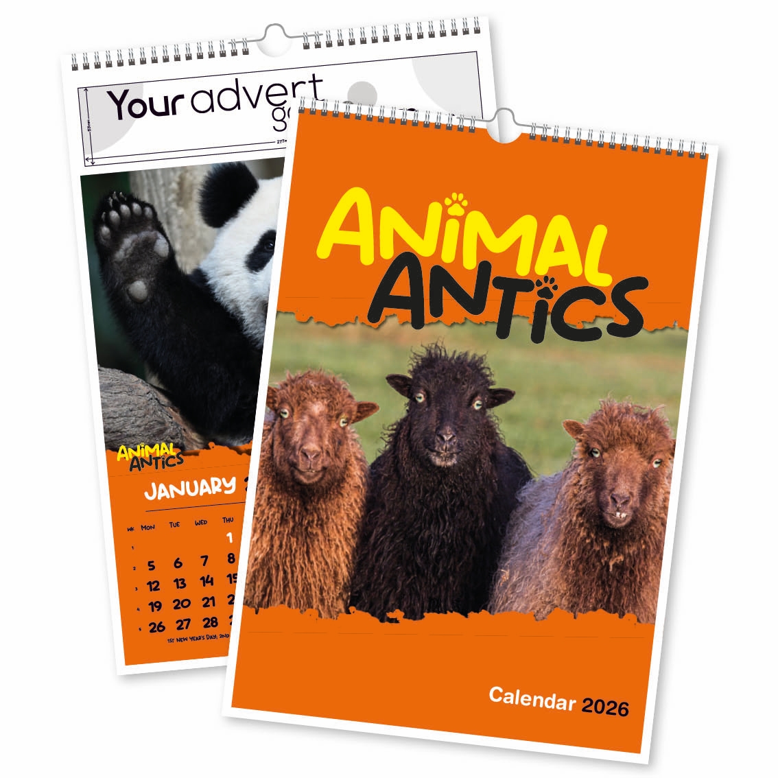 Animal Antics A4 DiGi Wall Calendar 2026 - Think Promote